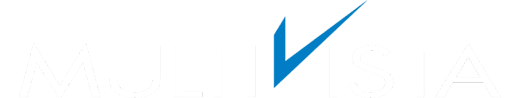 Why Choose Multivista | Trusted Partner