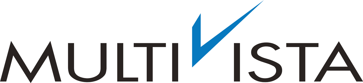 Logotipo Multivista The Big 5 Construct East Africa Multivista Kenya